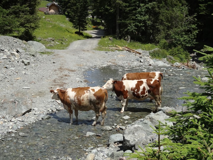 Anna's
Rehrenbergstrasse 132 - Saalfelden