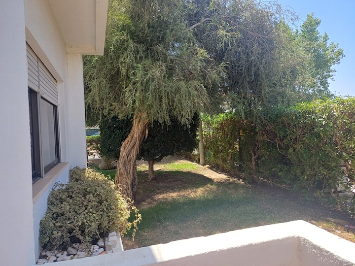 Apartamento Em Albufeira - Albufeira