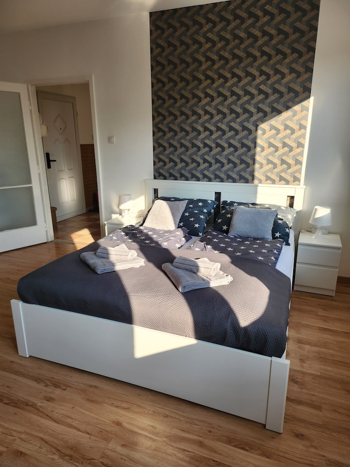 Lizo Deluxe Apartman +Ac +Car Rental - Székesfehérvár