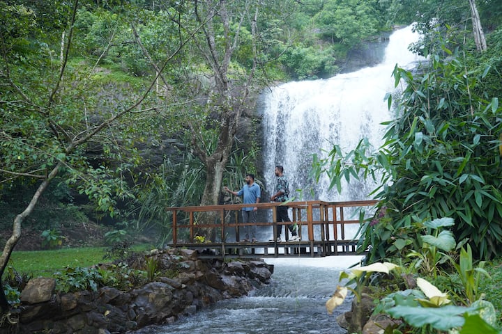 "Private Waterfall" - Kattappana