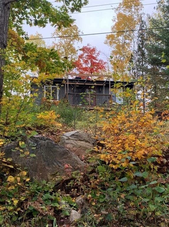 Rustic Bunky on Picturesque Lake - Cabins for Rent in Maple Leaf ...
