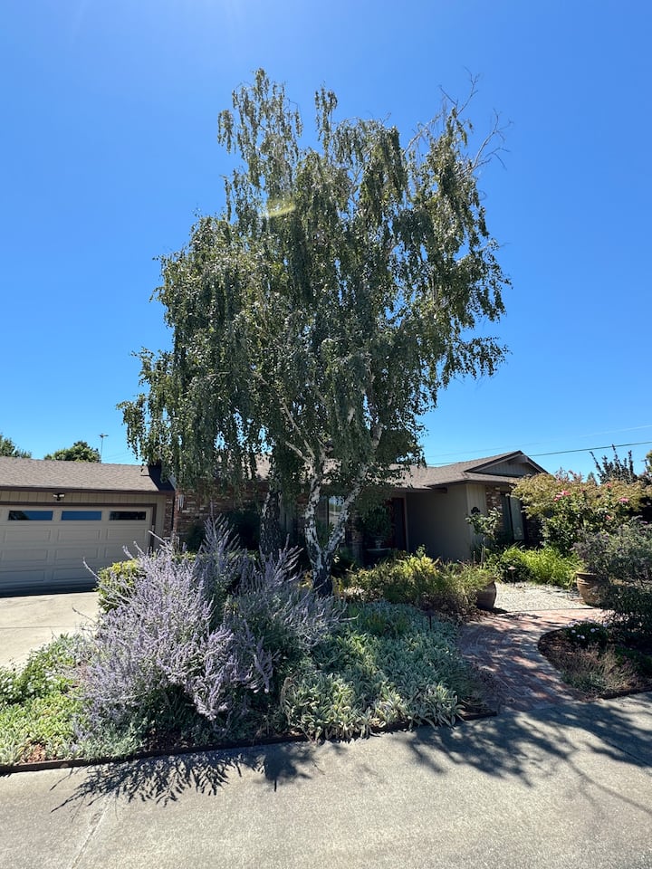 Room For Stay! In A Quiet & Calm Oasis! - Woodland, CA