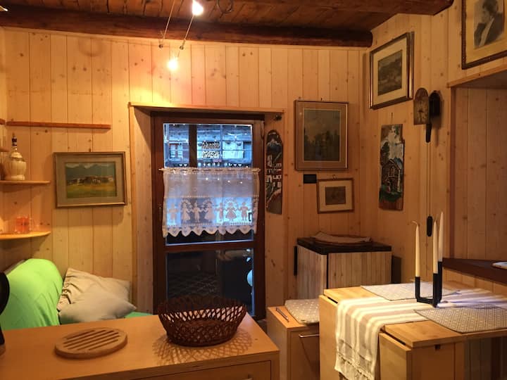 La Tana Dell'orso
App. Alce - Forni di Sopra