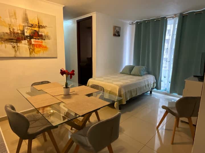 Departamento 2 Dormitorios 2 Baños - Santiago