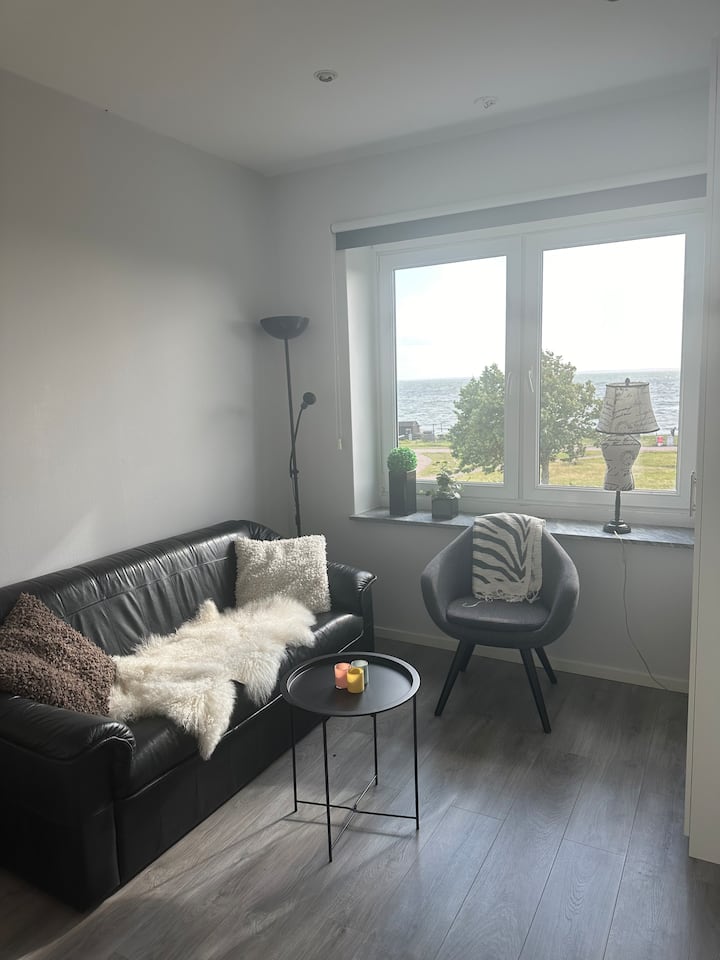 Lägenhet Med Havsutsikt - Helsingborg