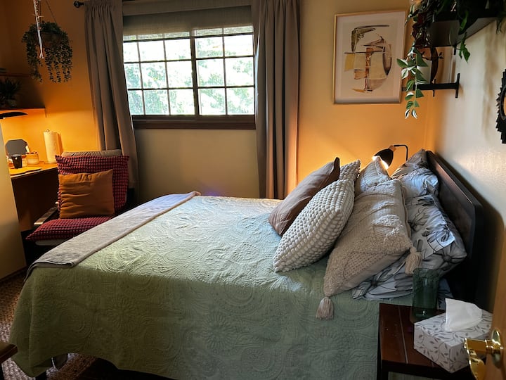 Vinny The Cat And Jan’s Bed And Breakfast - Visalia, CA