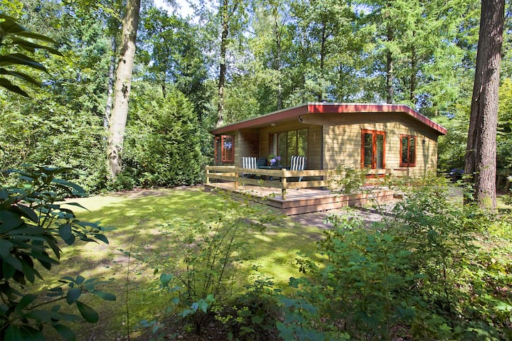 Bungalow En Forêt Situé à Otterlo - Ede