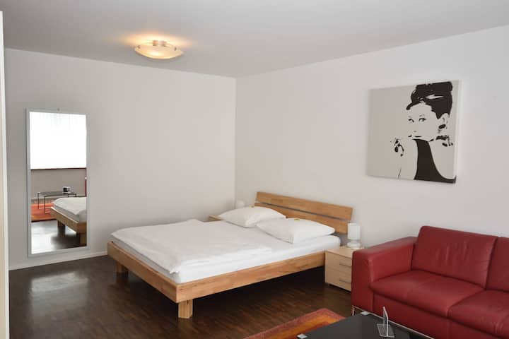 Modern Studio In The City Center (Flower 22) - Zurich