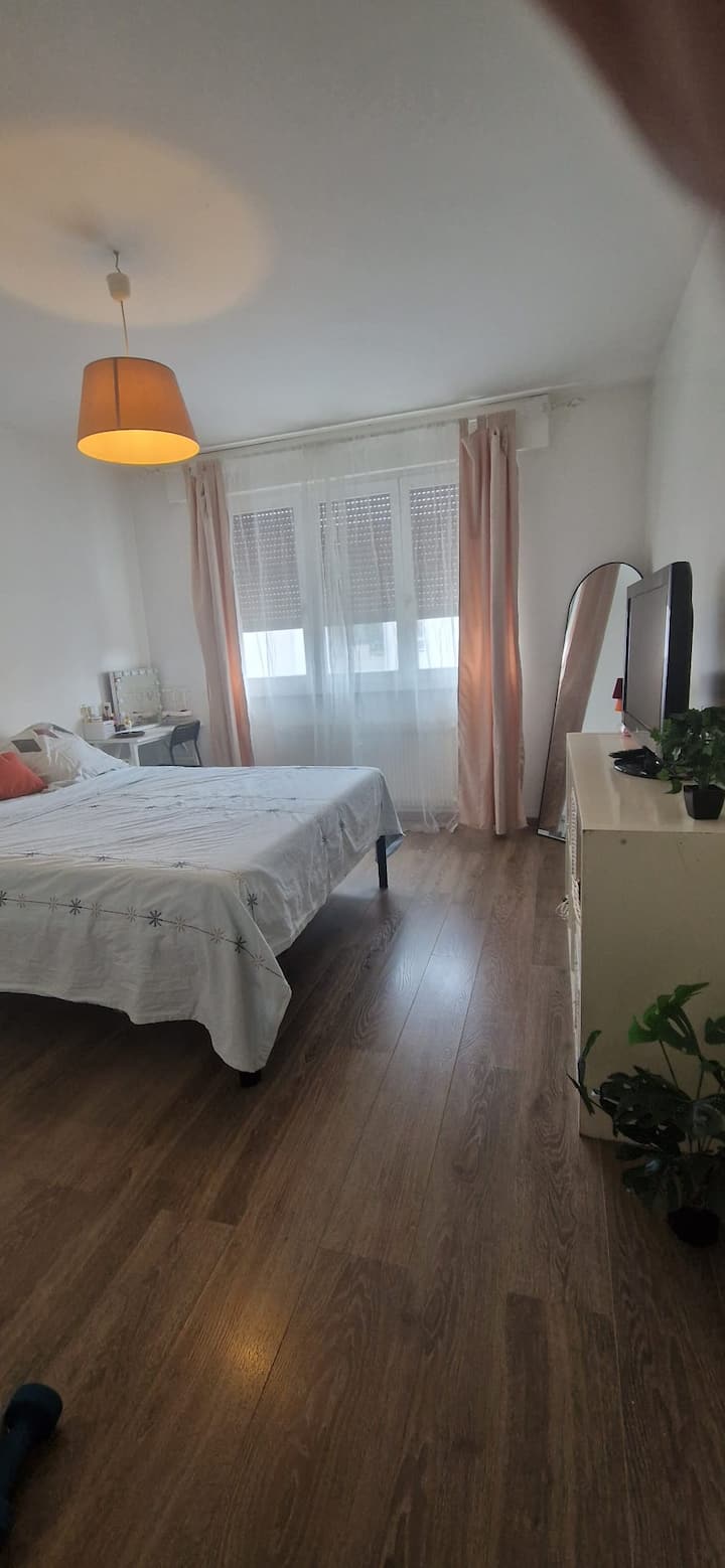 Nice And Friendly Appartment In Center Of Geneva - Geneva
