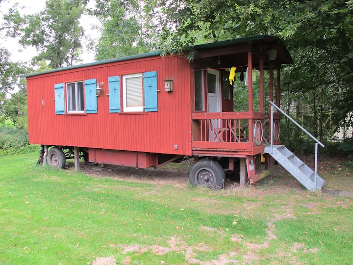 Nordseeauszeit - Natur Pur - Schleswig-Holstein