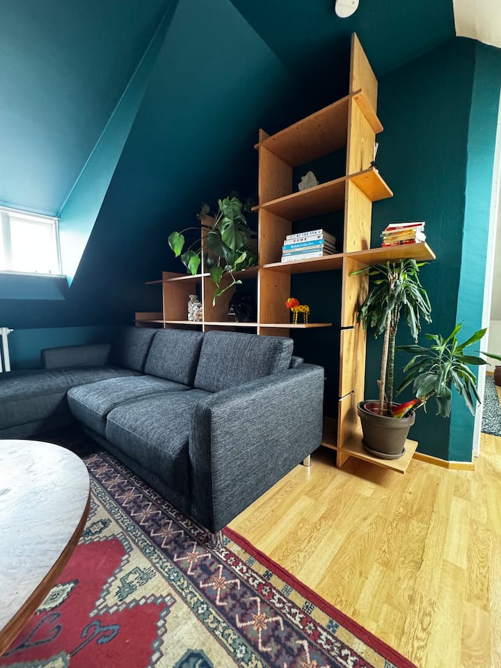 We Call It "Heima", So Can You! - Islande