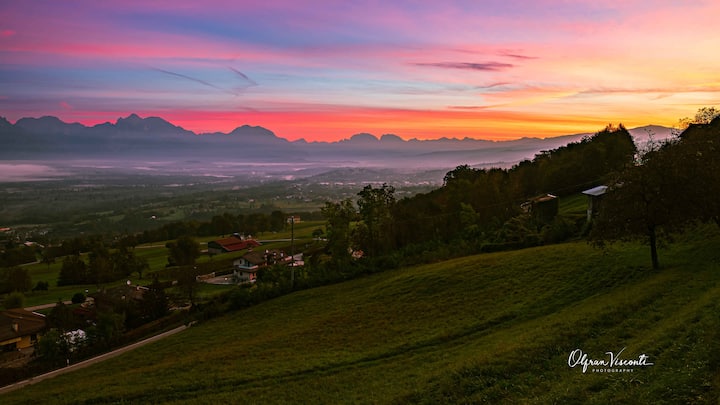 Patty's Place 2 - Feltre