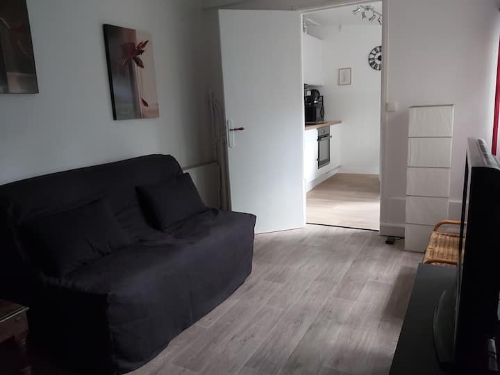 Maison De Plain Pied 35 M2 Avec Jardin Et Bbq - Fontenay-sous-Bois