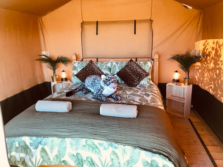 On Safari 2 - North Wales