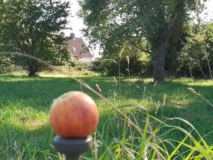 Stellplatz ÜBernachtung Im Apfelgarten - Neumünster