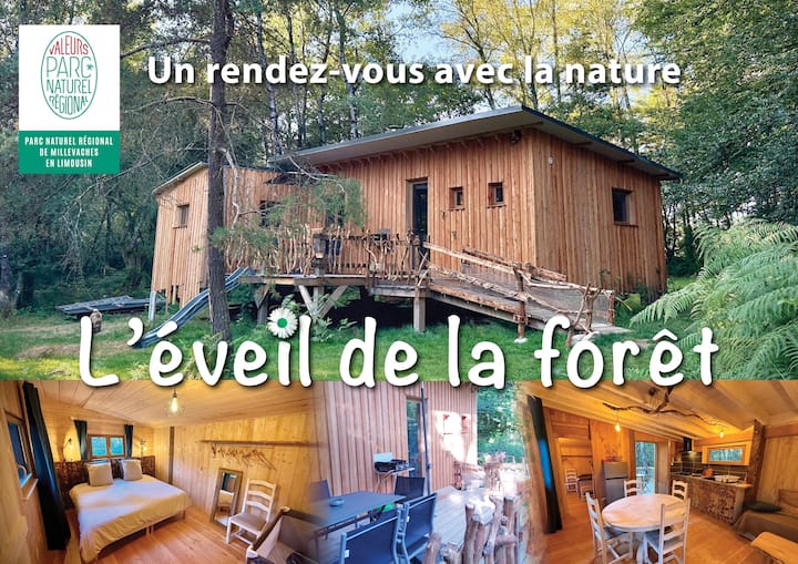 Gîte L'éveil De La Forêt 2 - Corrèze