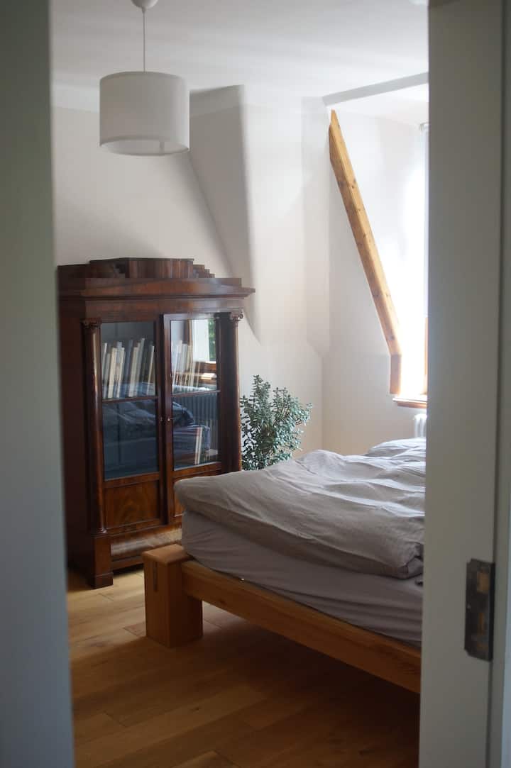 Apartment "Anno 1830" In Dresden - Dresden