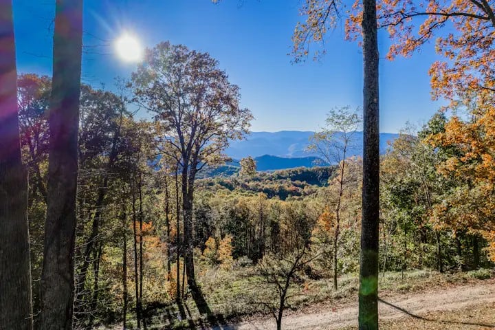 Dog-friendly; Mtn. Views; Starlink - Dillard, GA