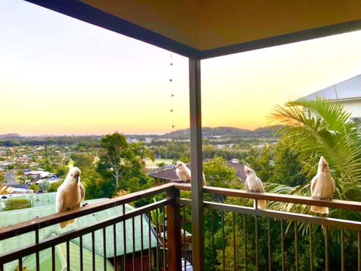 Currumbin Treehouse Views - Tweed Heads