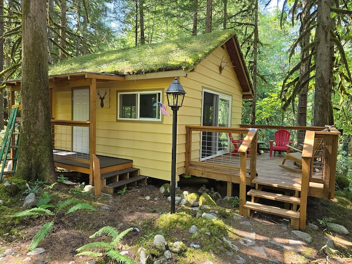 Moss Top Cabin: Offgrid Retreat - Cyclone Lake, WA