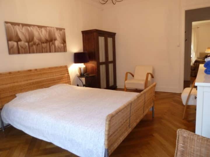 2br Apt Near Train & Airport - Geneva