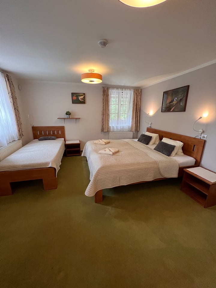 Pokoj č.8 - Harrachov