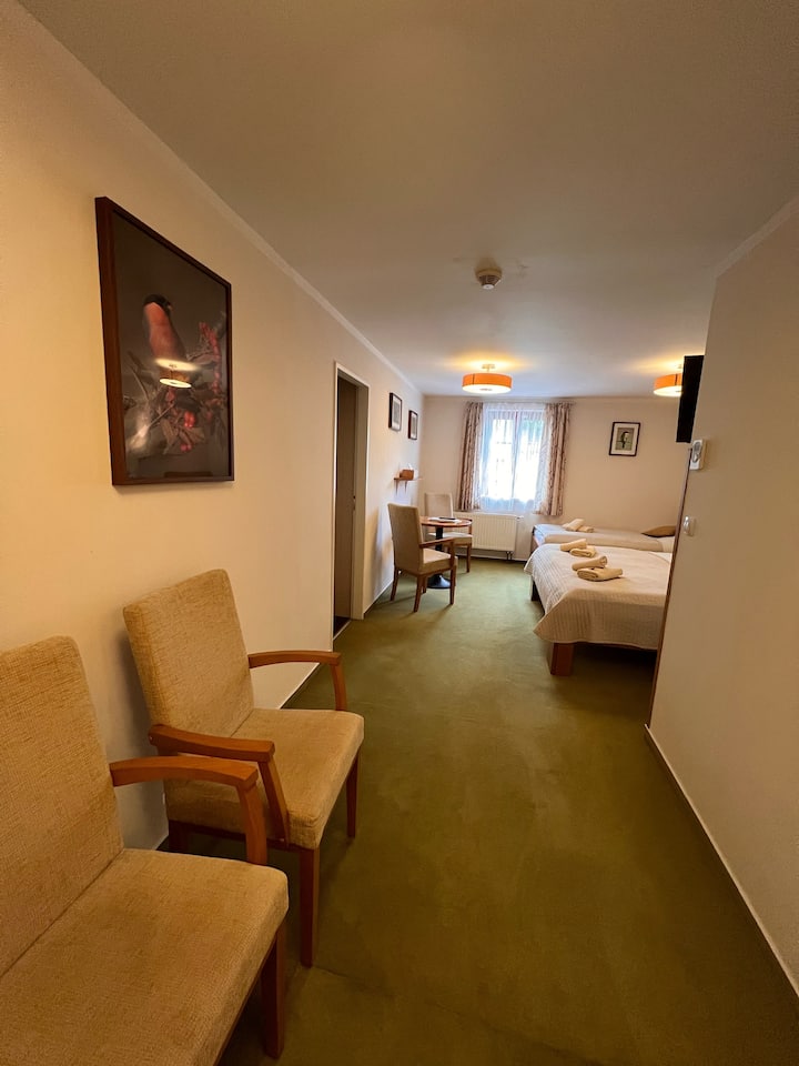 Pokoj č.9 - Harrachov