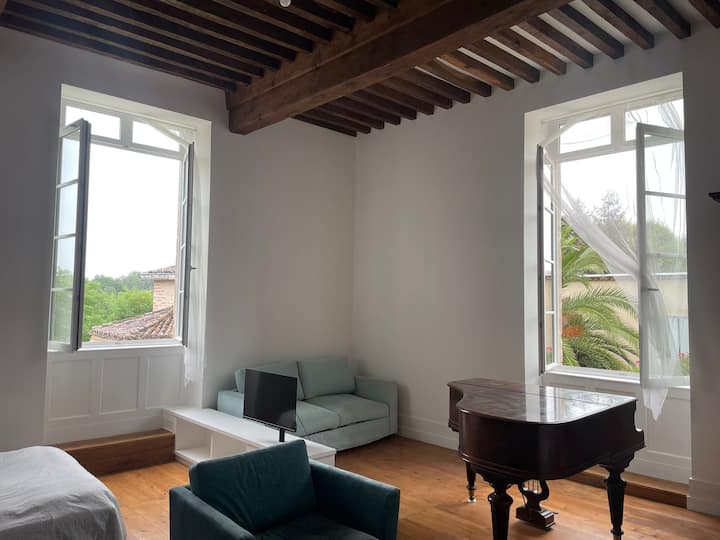 Grand Appartement Luxueux Rénové - Marmande