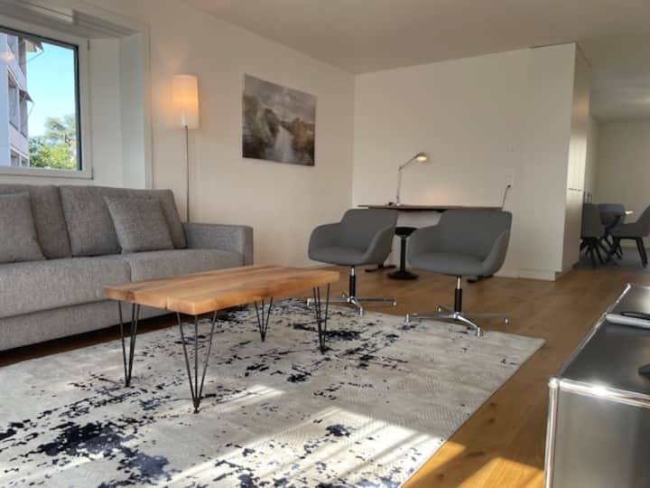 Faboulous 1br Near City Center (Sun 16) - Zürich