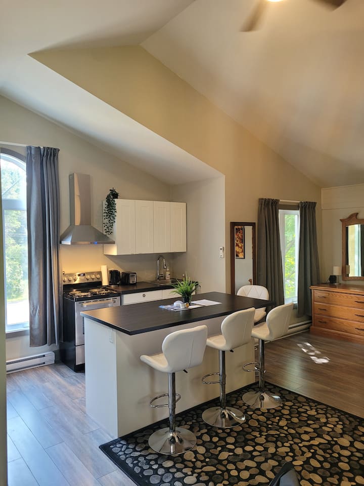 Loft Supérieur - Sainte-Agathe-des-Monts