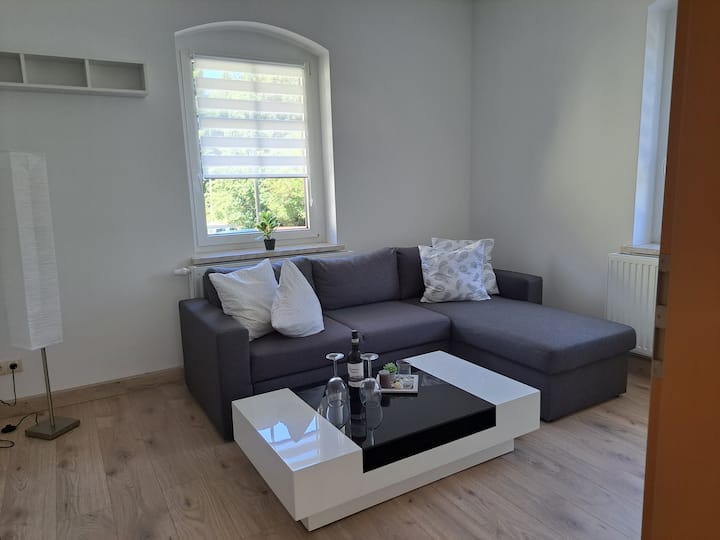 Ferienwohnung Carolagrün - Klingenthal