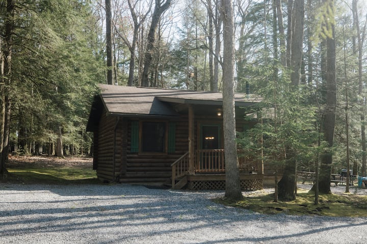 Cabin #4 Little Bear - Clear Creek State Park, Sigel