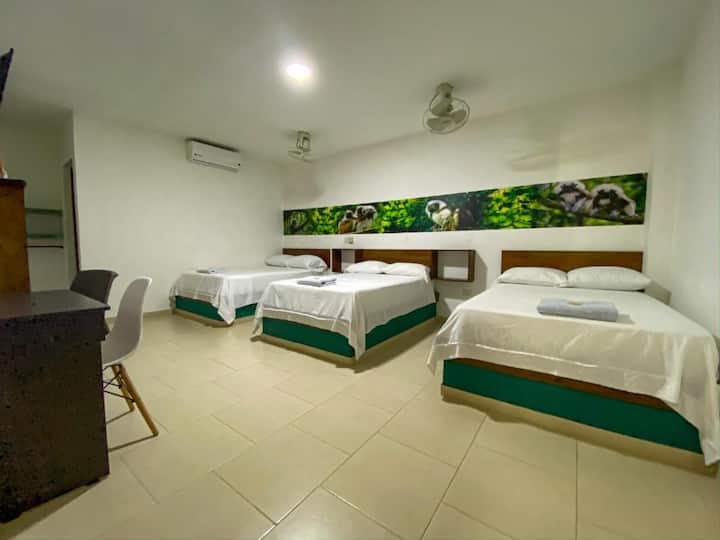Hotel Plataneras Confort - Turbo