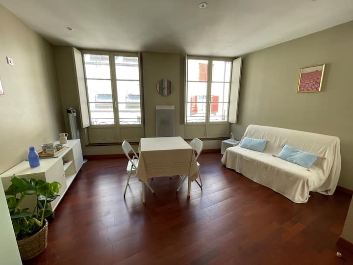 Location Vacances Bayonne Centre - Bajonna