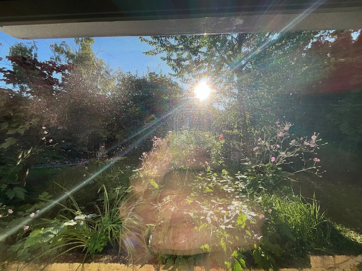 Ruhige, Zentrale 65qm Im Grünen - Hofheim am Taunus