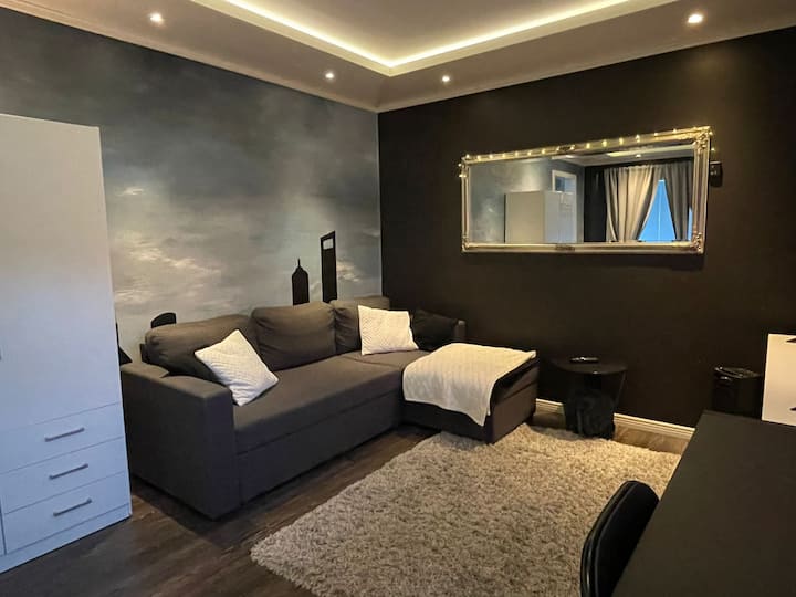 Resort Kurjenoja, Huone Omakotitalossa - 로바니에미