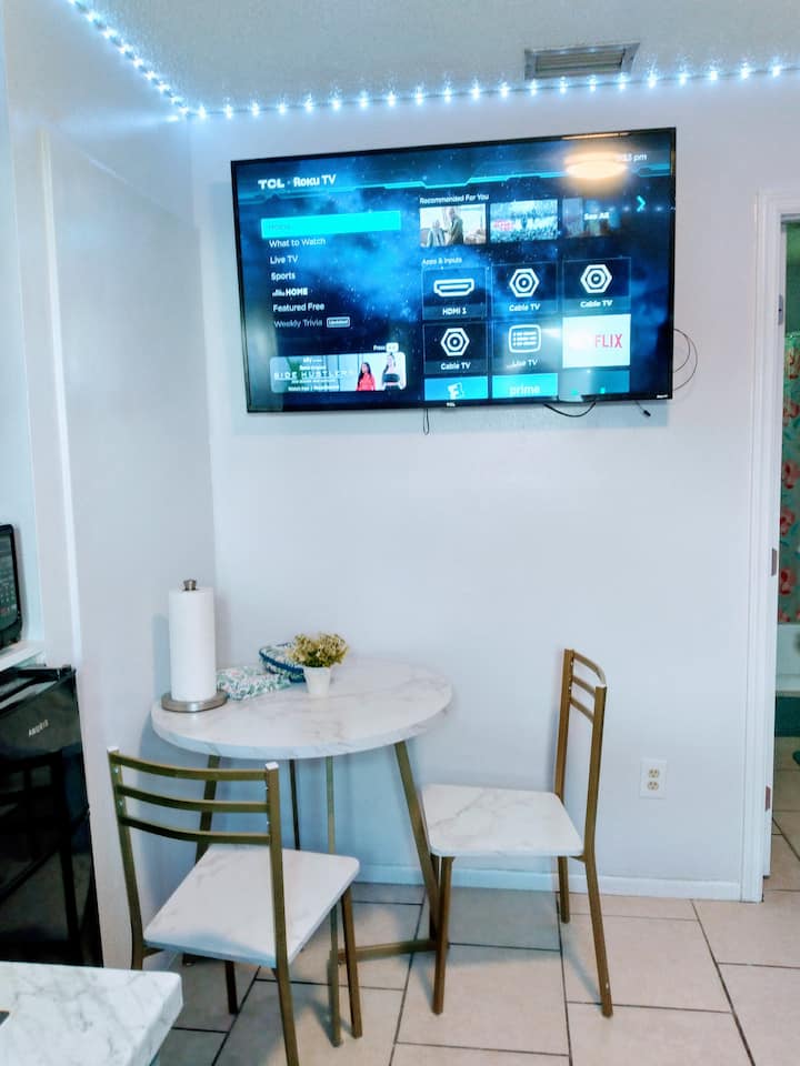 Cozy Studio Apartment! - Odessa, FL