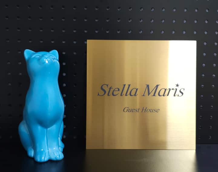 Comfortable Guestroom At Hongdae(women-only) - South Korea