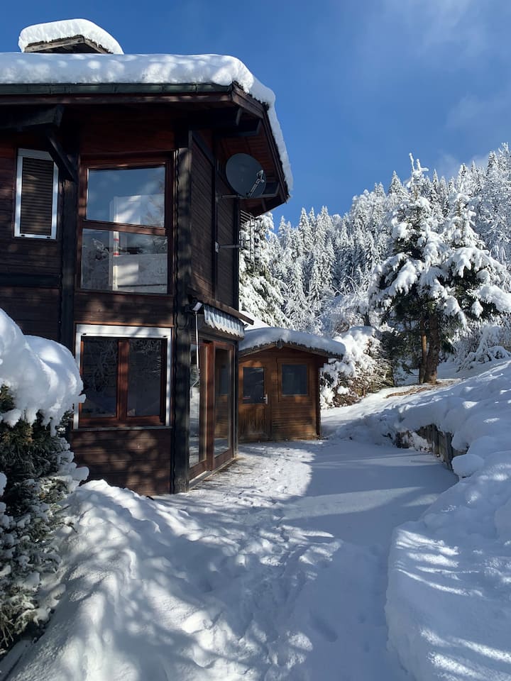 Chalet Mitoyen - Les Gets - Praz de Lys