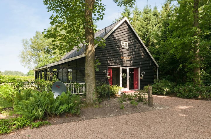 The Mansion - Netherlands