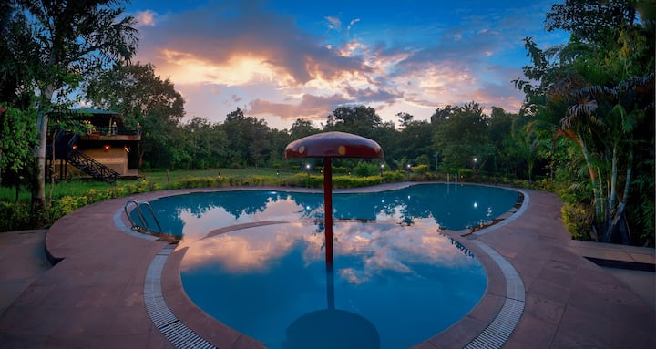 Safari Serenity Cottage - Premium Room No Meals - Sidhi