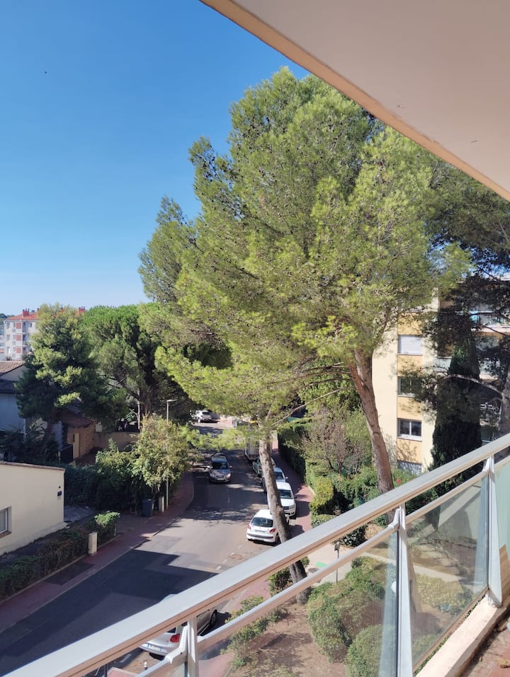 Rooms Available In Shared Flat Near Mbs ! - Montpellier