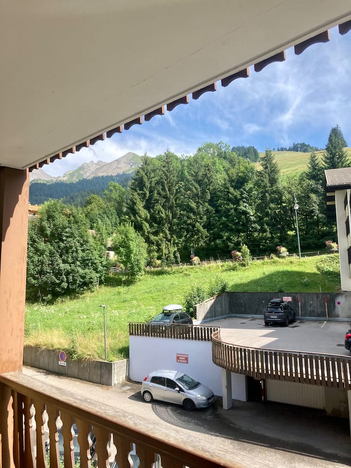Studio - Ski In And Ski Out - Le Grand-Bornand