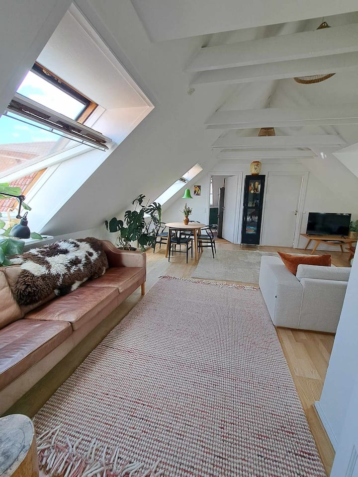 Hyggelig Taglejlighed I Odense C - 歐登西