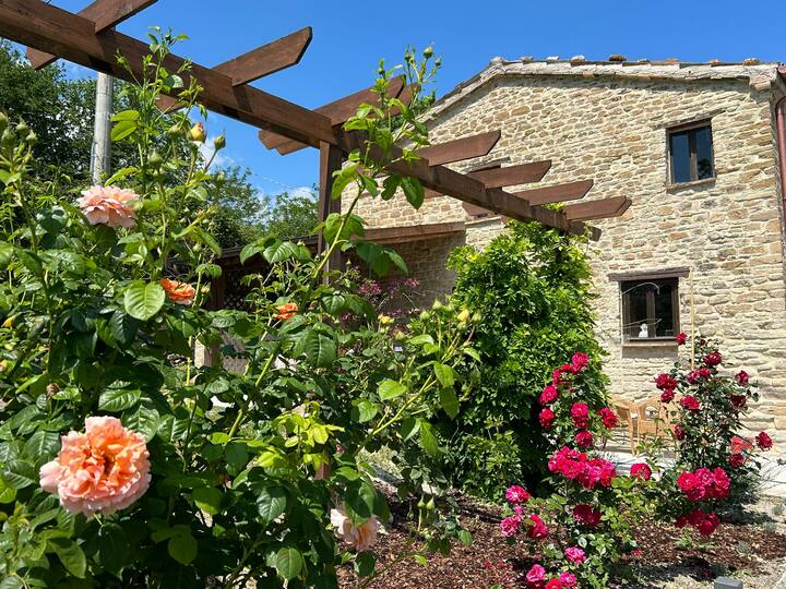 Casa Fagiano - Pergola