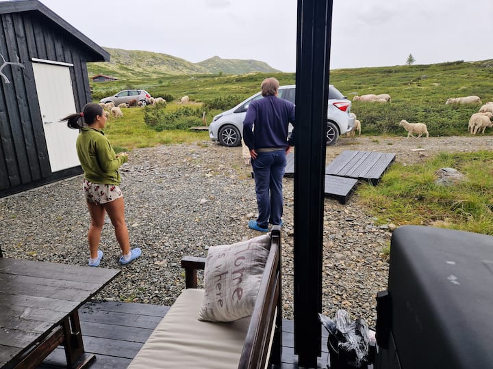 Koselig Kampen Ved Rondane - Otta