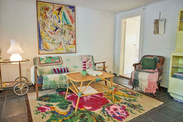 Hyggelig Kælderlejlighed Centralt I Odense - Odense