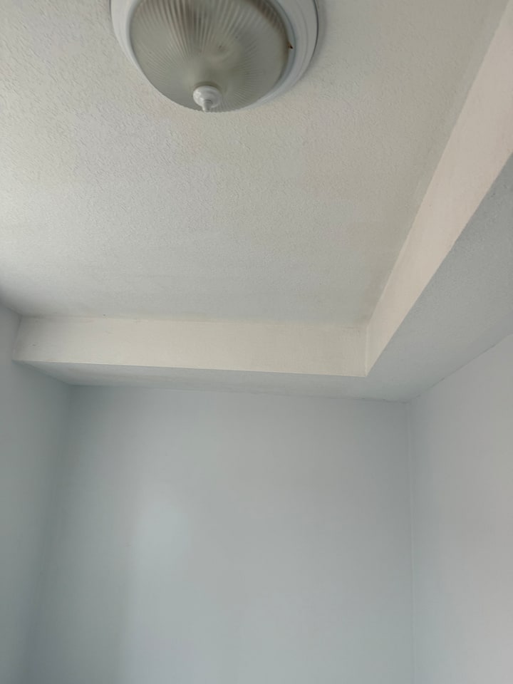 Beautiful Room With New Carpet. - Guelph