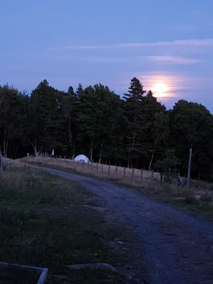 Stoneybrooke Farm Field Camping - Bridgewater, NS