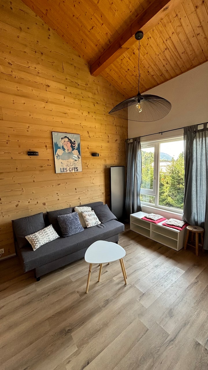 Appartement Duplex 1 Ch, 1 Mezz. - Les Gets